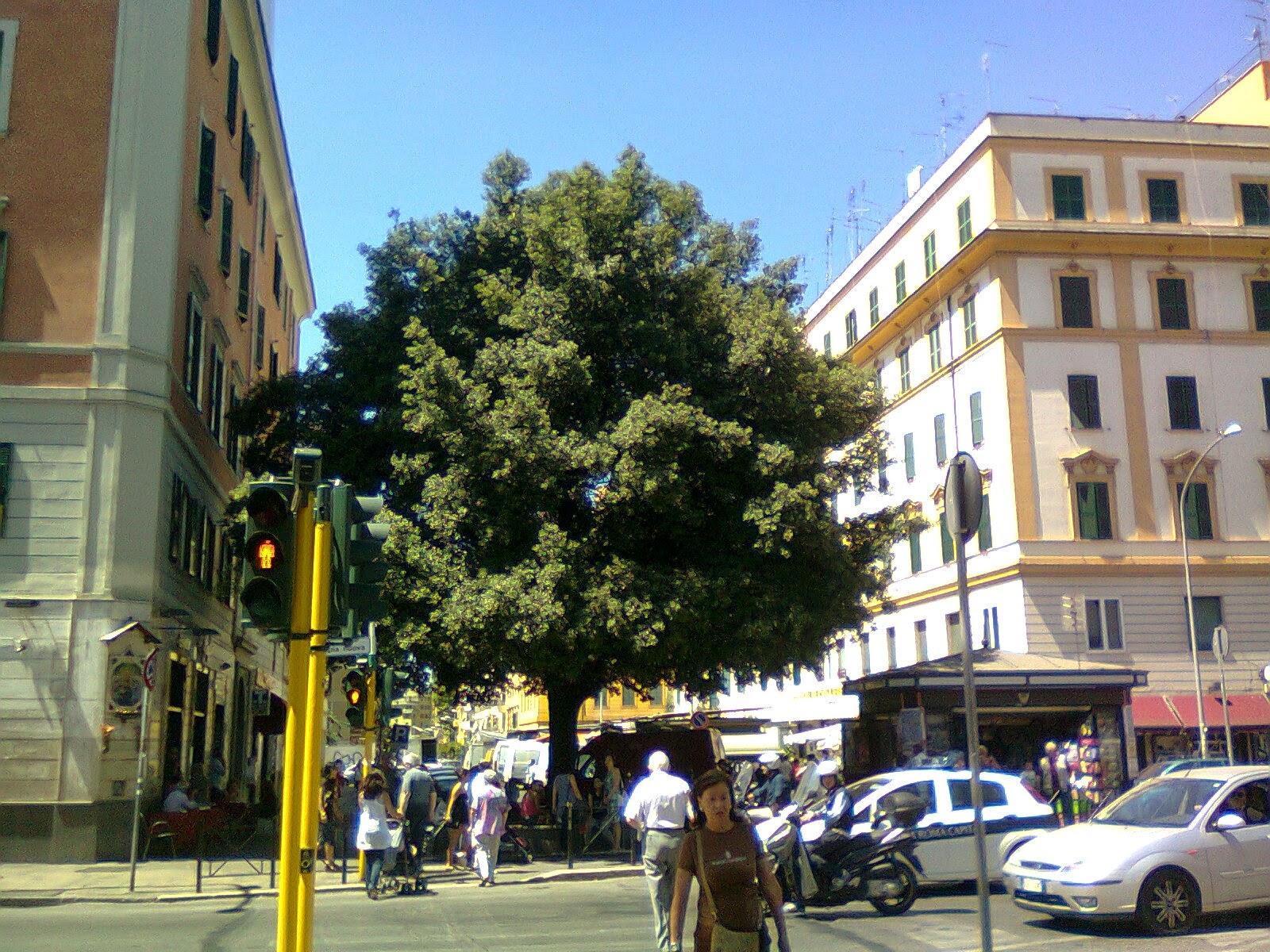 In bici per Roma: E' crollato l'Alberone e con esso un pezzo della ...