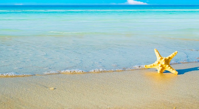 Fondos de Pantalla del Mar | Fondo De Pantalla