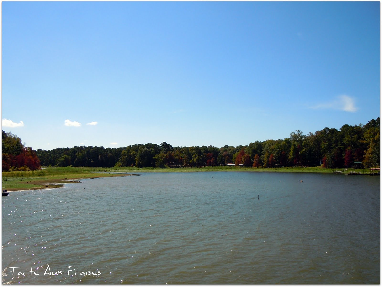 Tarte Aux Fraises: Pendleton Bridge and Toledo Bend Lake