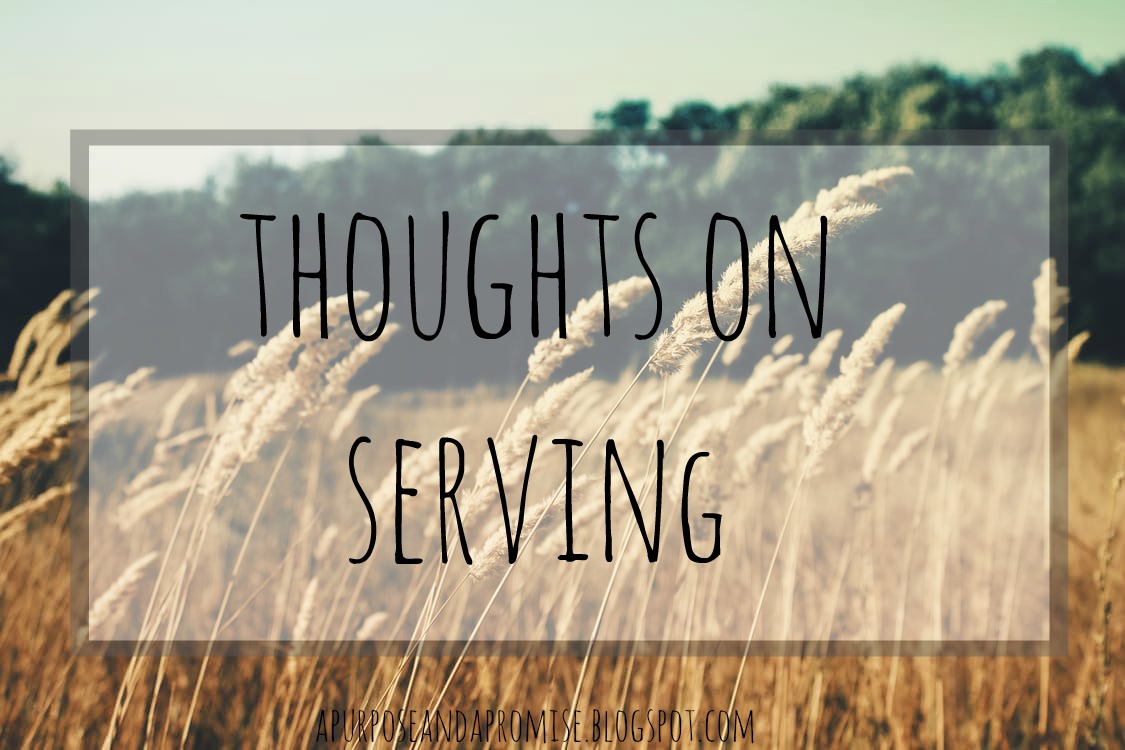 A Purpose and A Promise: Thoughts on Serving
