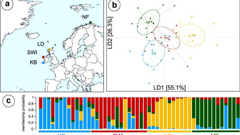 Mean Directional Accuracy (MDA)