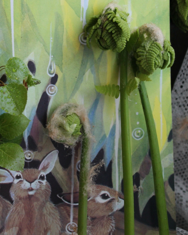 Books and Umbrellas: Rabbits & Raindrops by Jim Arnosky