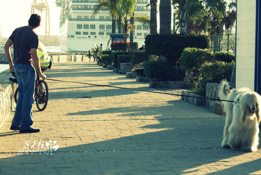 Elizabeth's Secrets: Su nombre es, Kiko.