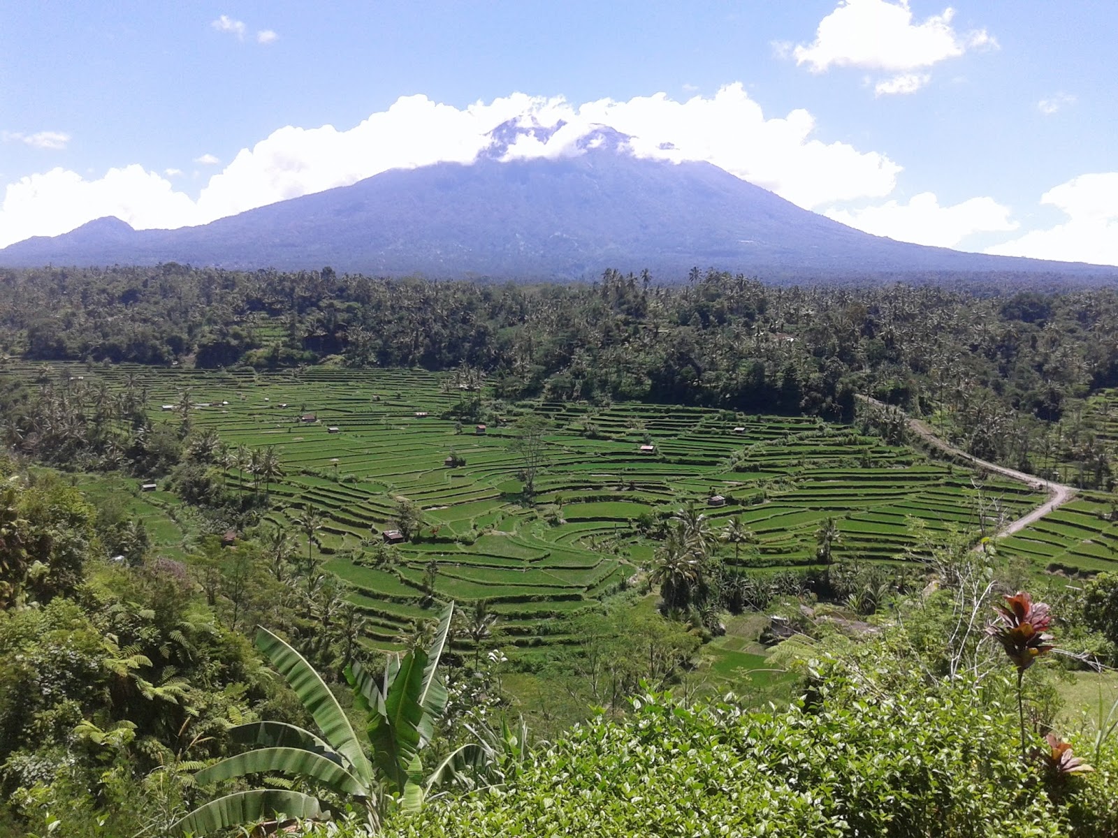 "Bali Countryside Tour": Volcano, east Bali cultural tour
