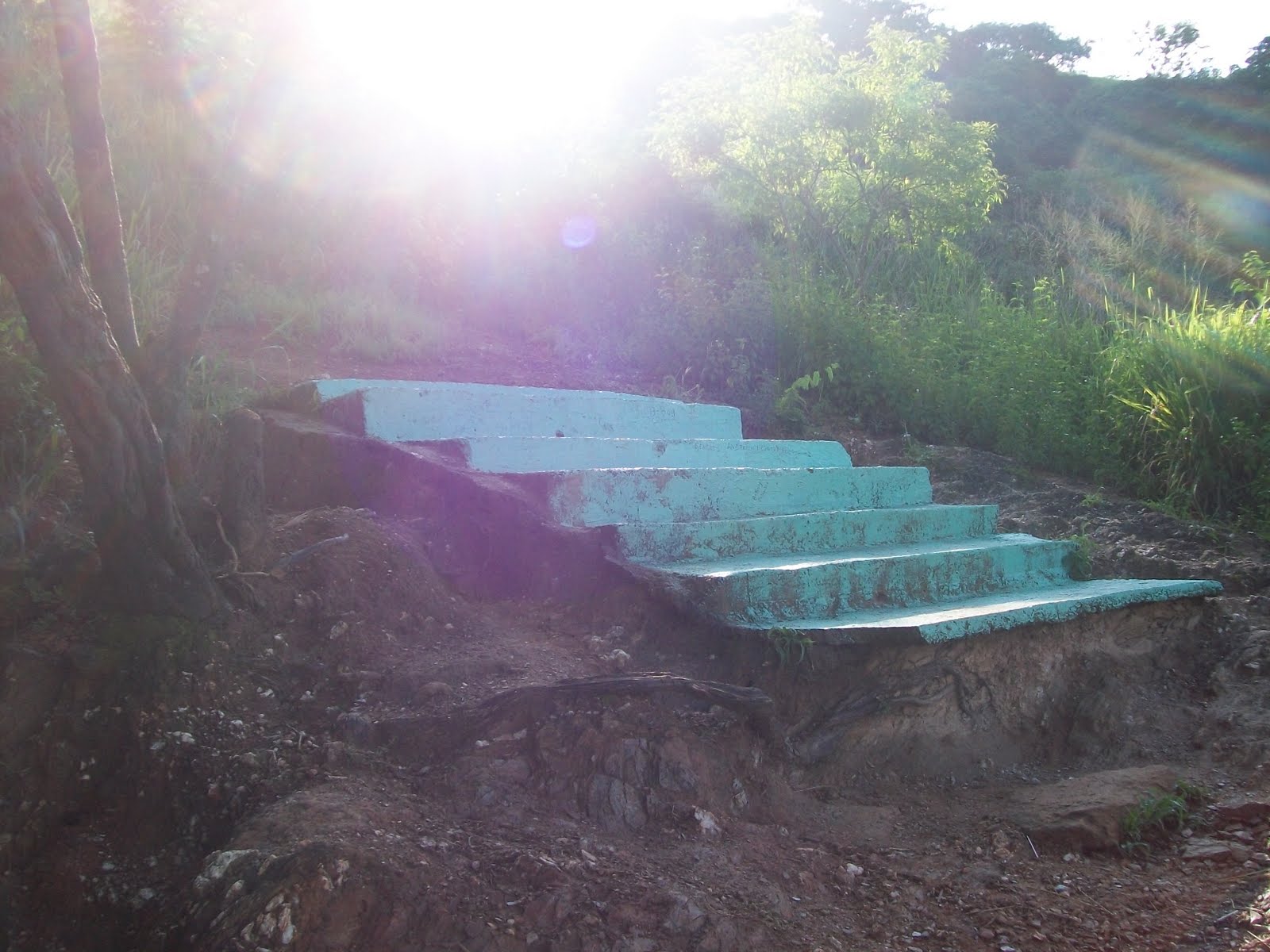 Imágenes de Turmero: EL PICACHO DE TURMERO II