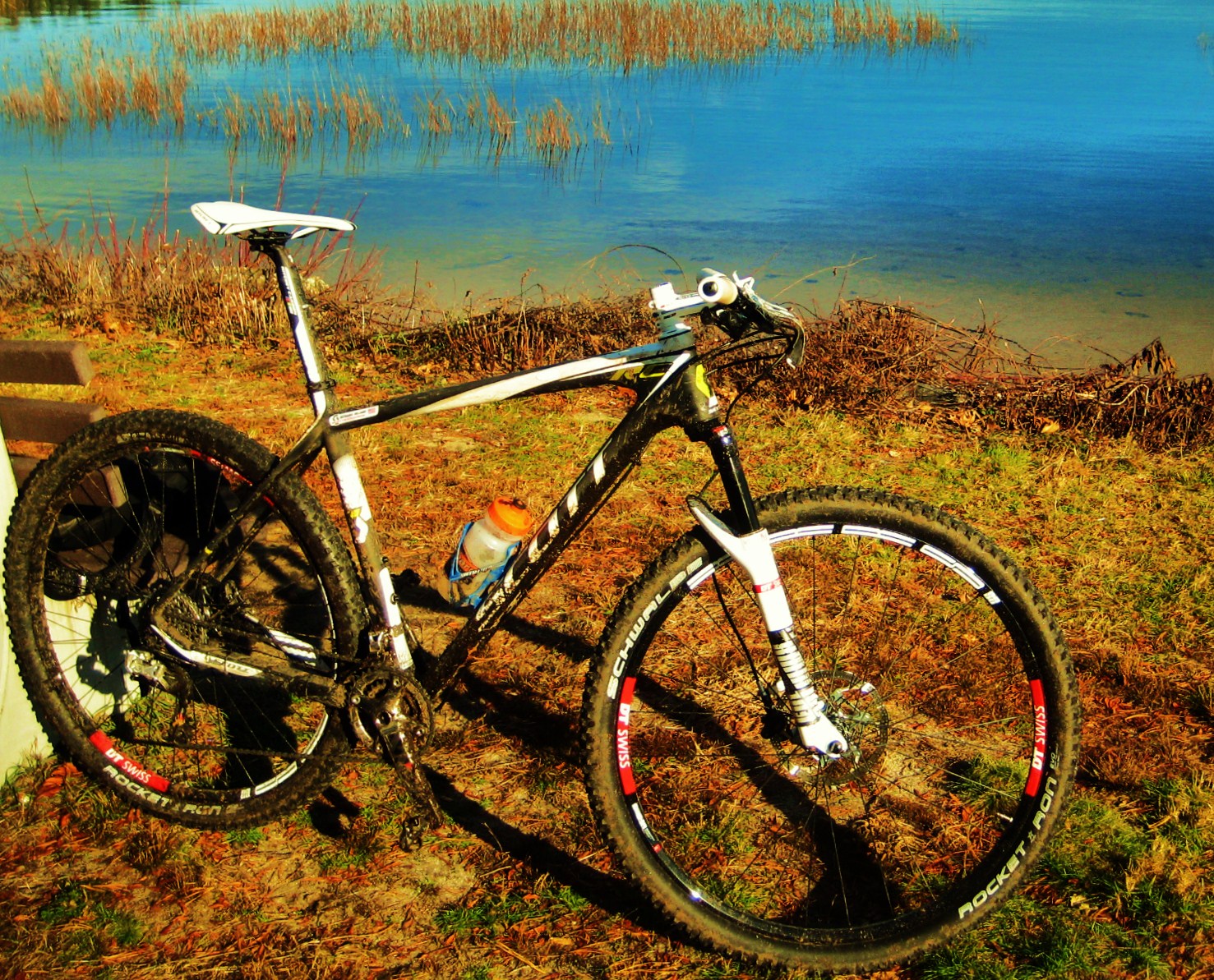 Scott Pro Mountain Bike Team: Scott Scale RC 29er Review