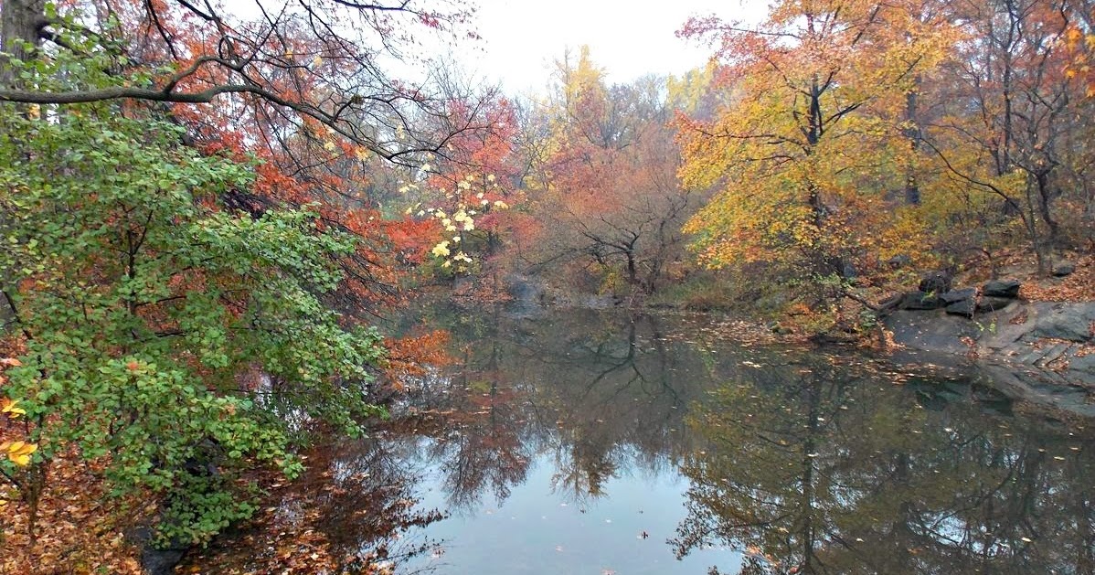 Cleo Coyle Recipes.com: A Central Park Walking Tour with author Cleo Coyle