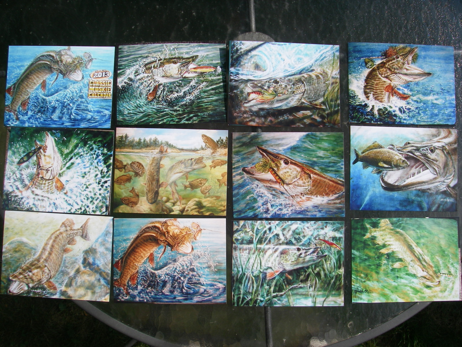 CHARLES WEISS ART: 12 new muskie paintings/2013 Classic Muskie Calendar