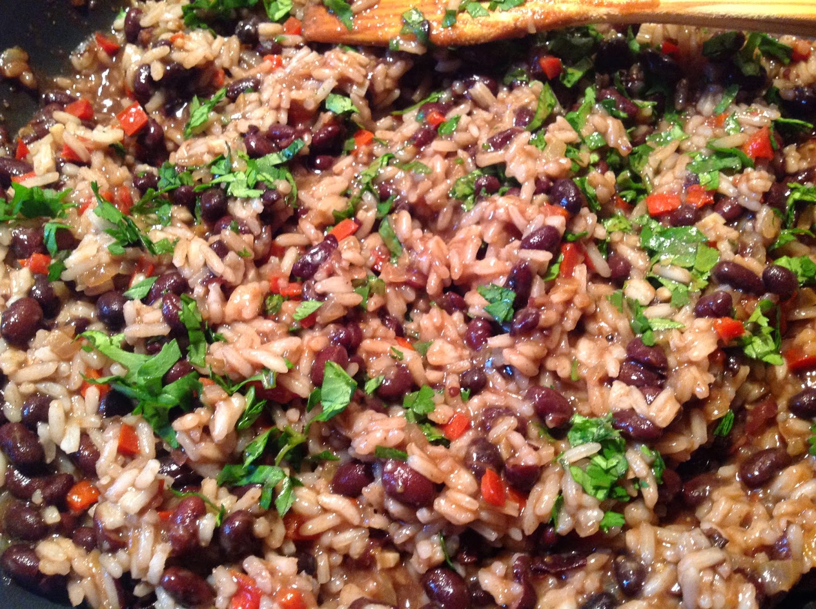 INUKARES: Hasta pronto COSTA RICA. El Gallo Pinto