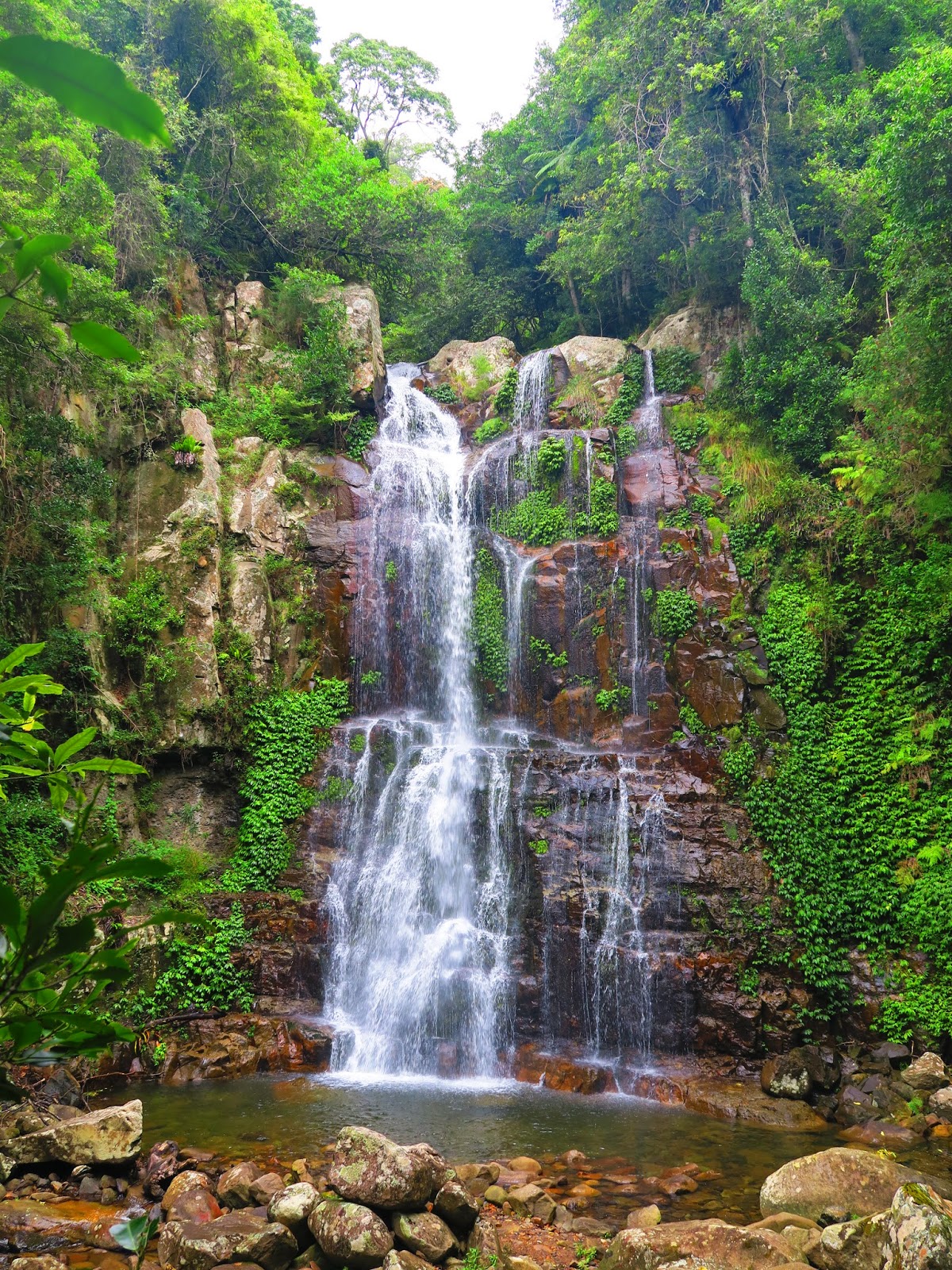 Taiwan Travels & Adventures: Kiama & Minnamurra Rainforest