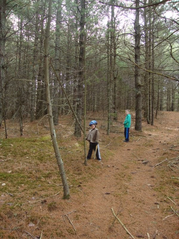 It's EGGciting! Making a Jelly Bean Tree.