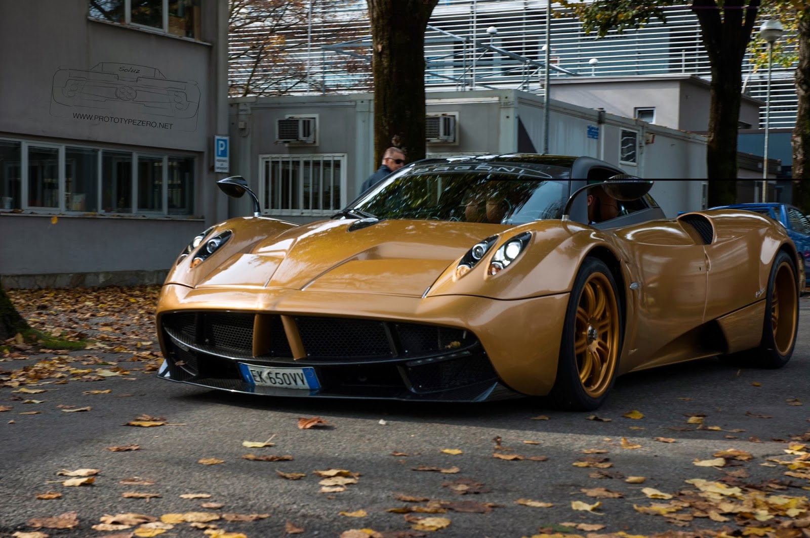Pagani huayra Gold Edition [Photo Gallery] : ebeasts.com