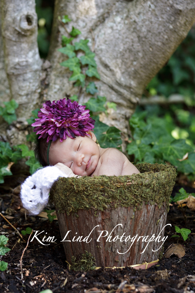 KIM LIND PHOTOGRAPHY {the blog}: Welcome, baby Aubree! | Kim Lind ...