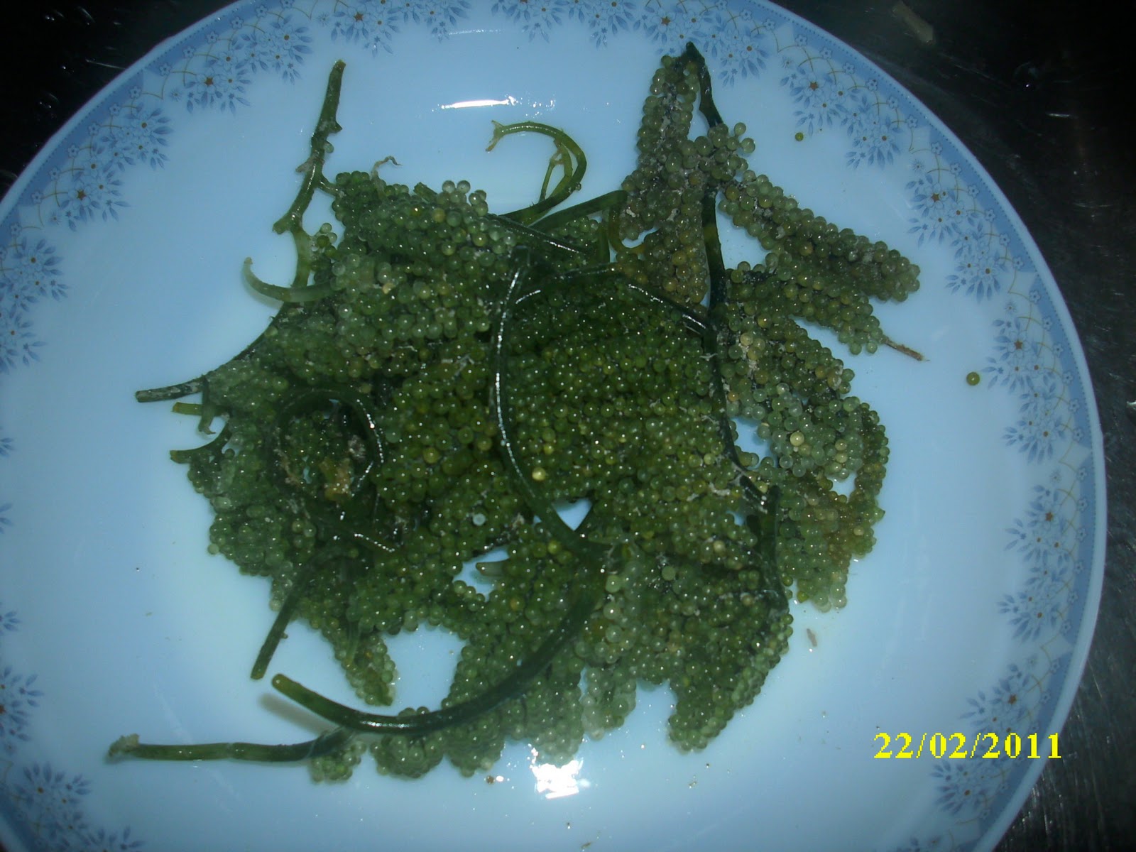 Latok @ Rumpai Laut Dengan Ikan Kayu Panggang - Amie's Little Kitchen