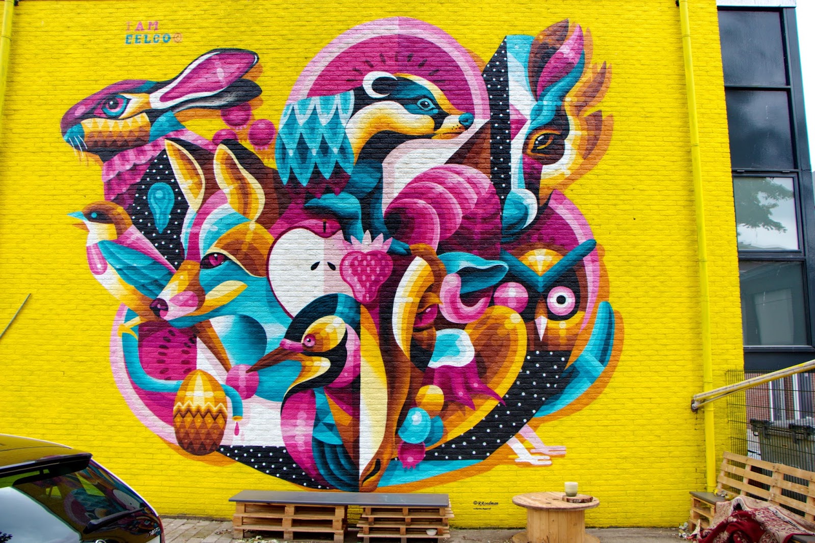 Street Art: Ede - Netherlands