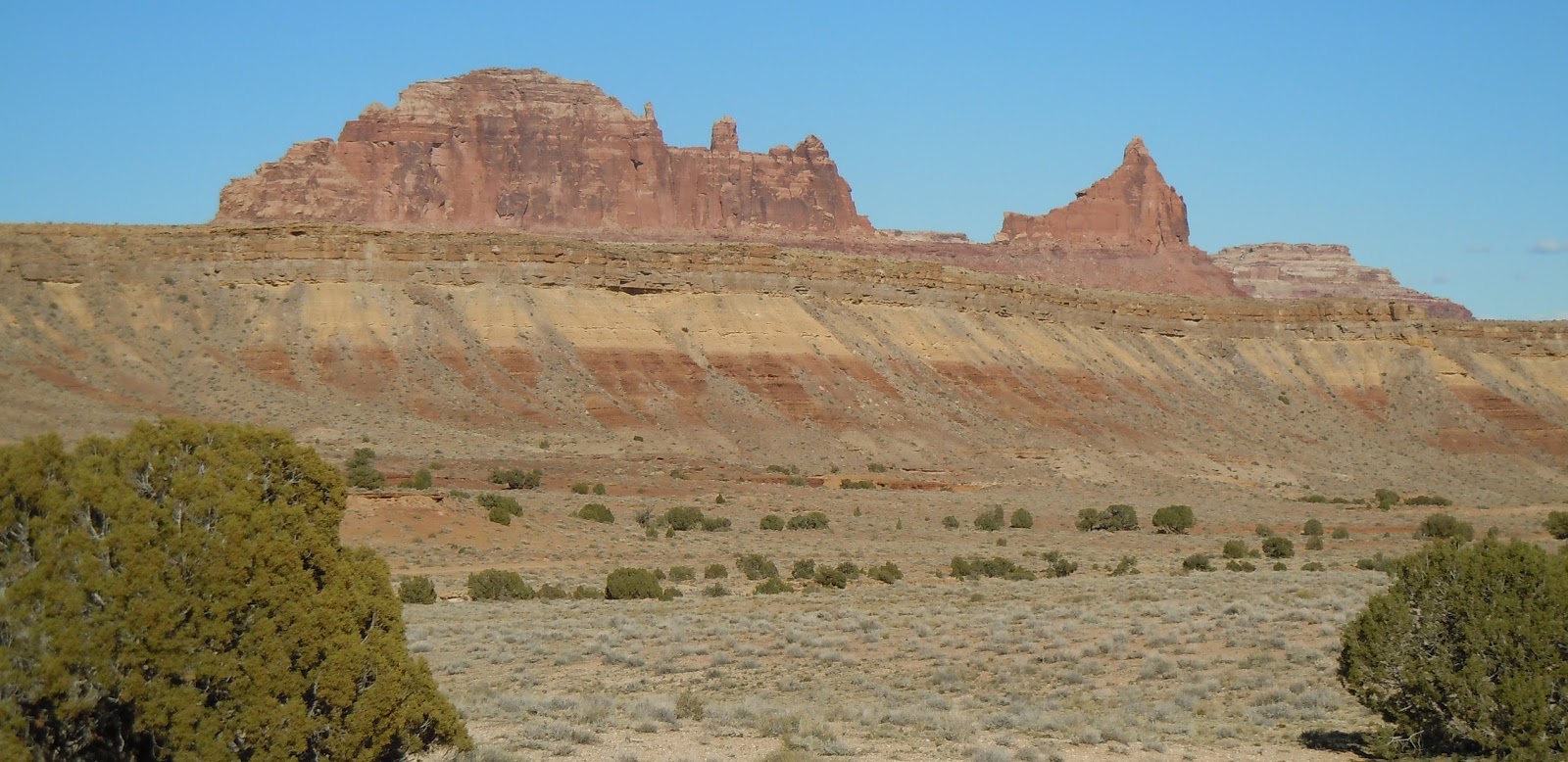 Ammonoidea: Early Triassic Red Beds