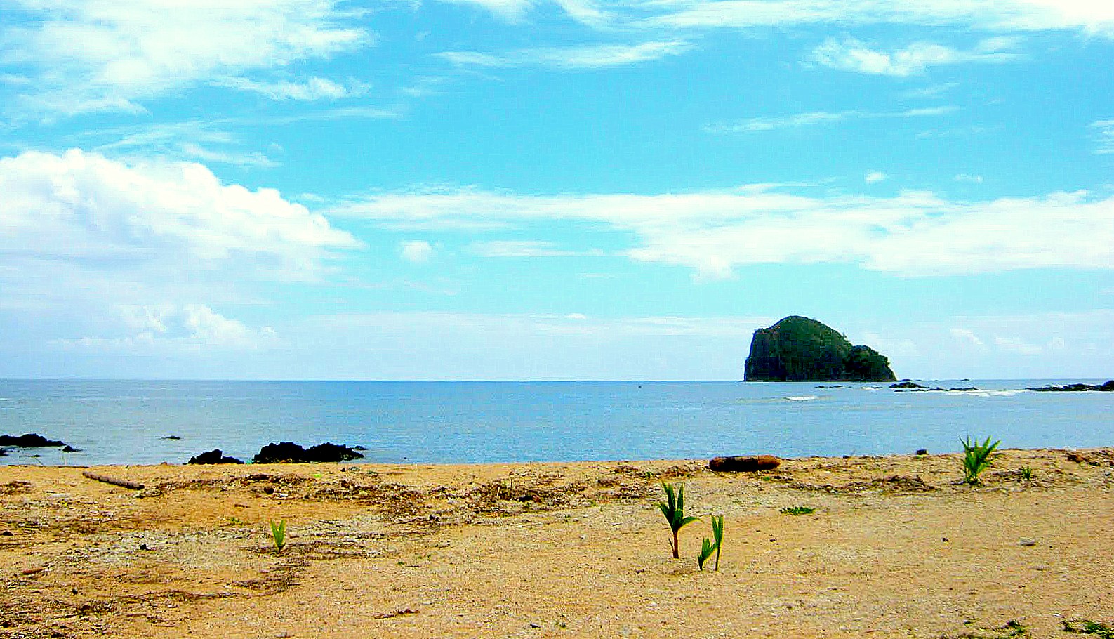 Digisit Beach in Baler: Snorkeling Spot