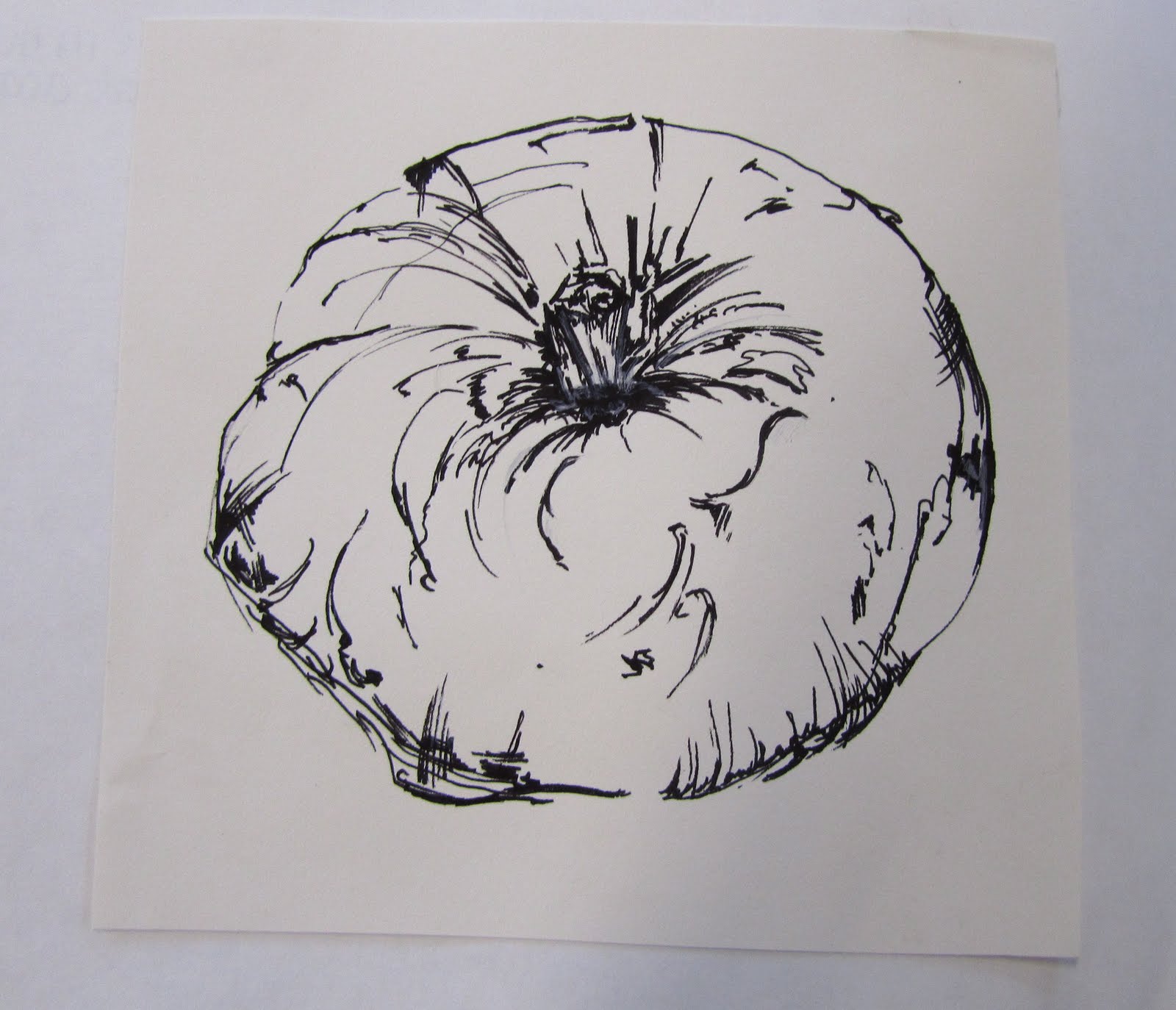 Harriet Connolly Portfolio