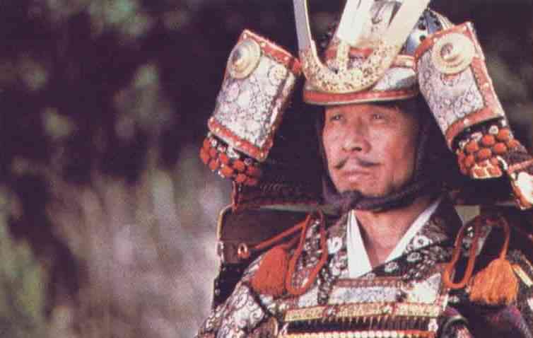 La Magia de la Alquimia: "El cangrejo Heike" Un samurai con la armadura ...