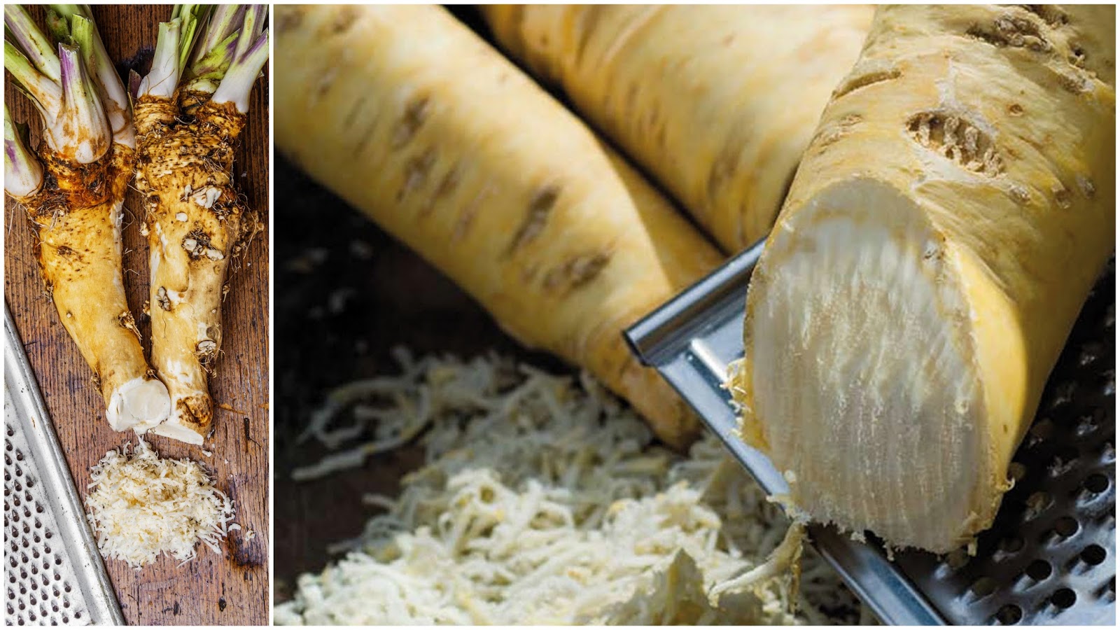 Antichi mestieri: Kren e rafano, due radici molto piccanti e ...