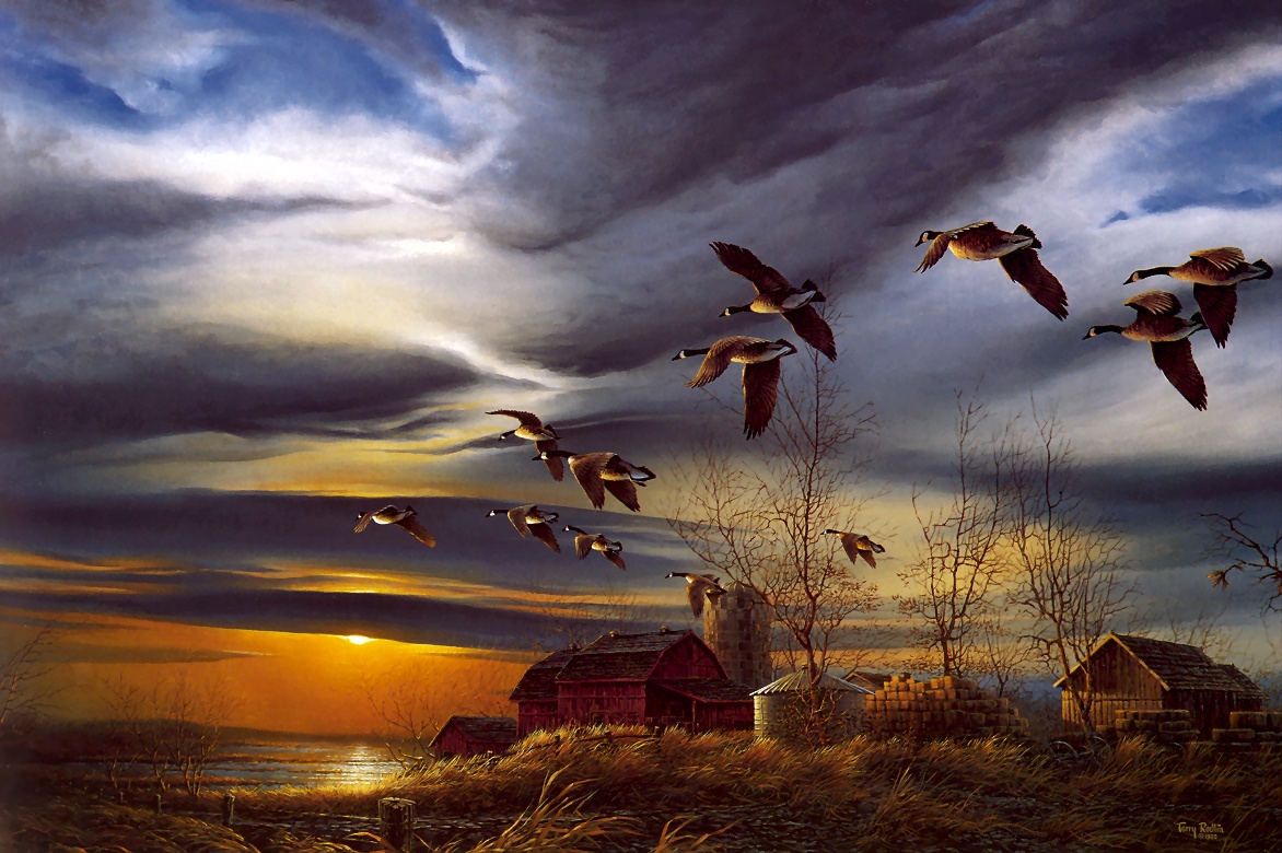 D.W.C. Birds - Artist Terry Redlin - DANCES WITH COLORS