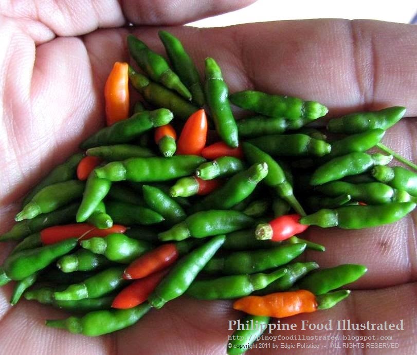 Philippine Food Illustrated: siling labuyo