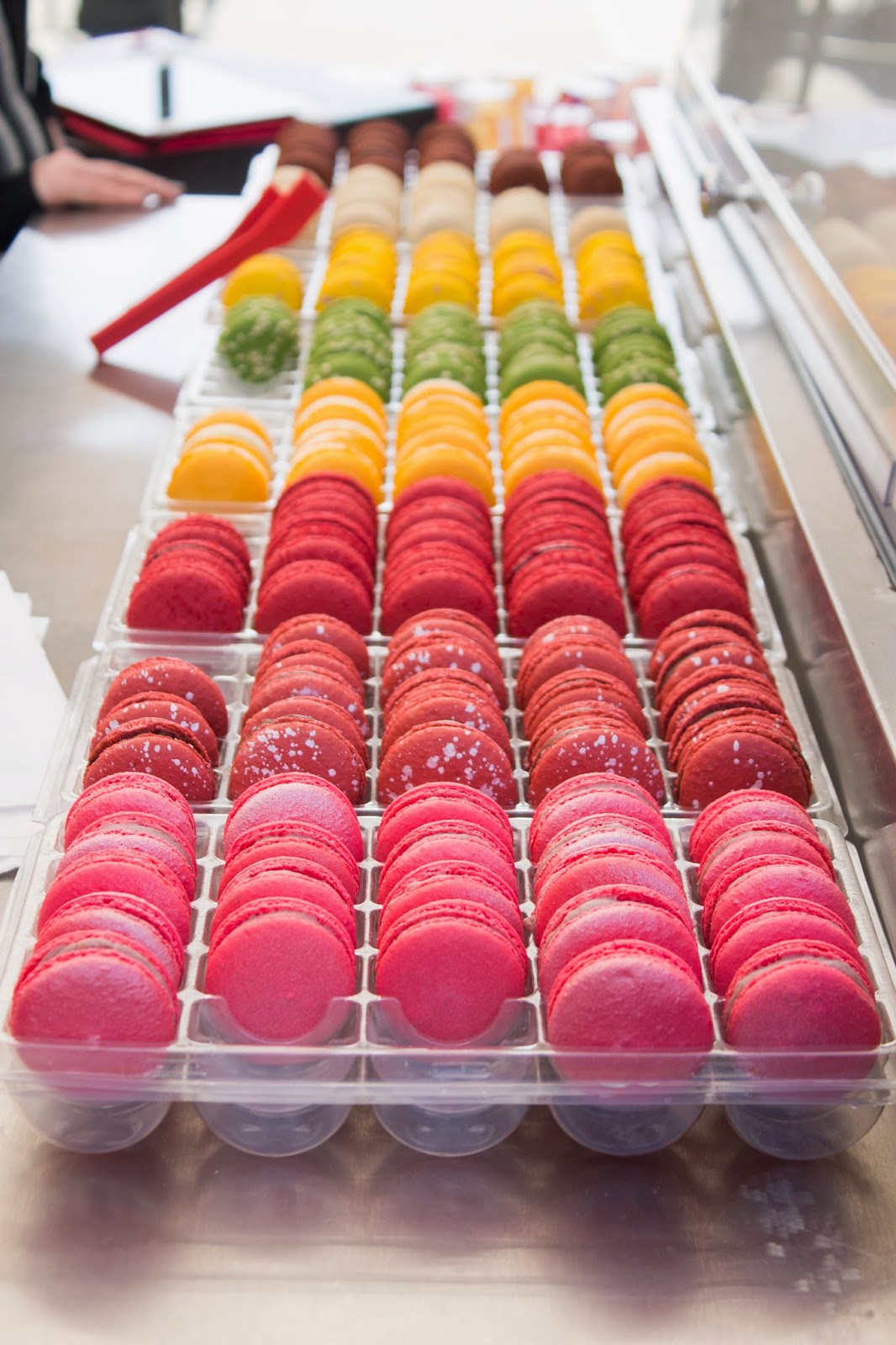 Northern California - The Bella Insider