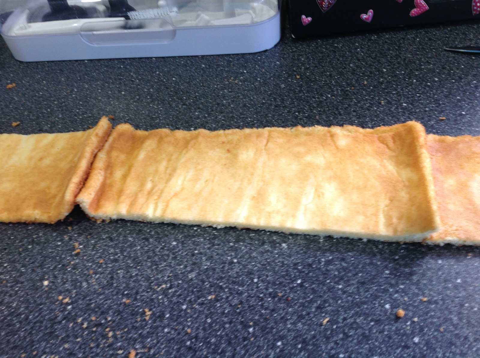 My Tefal Cuisine Companion Journey: Vertical Sponge