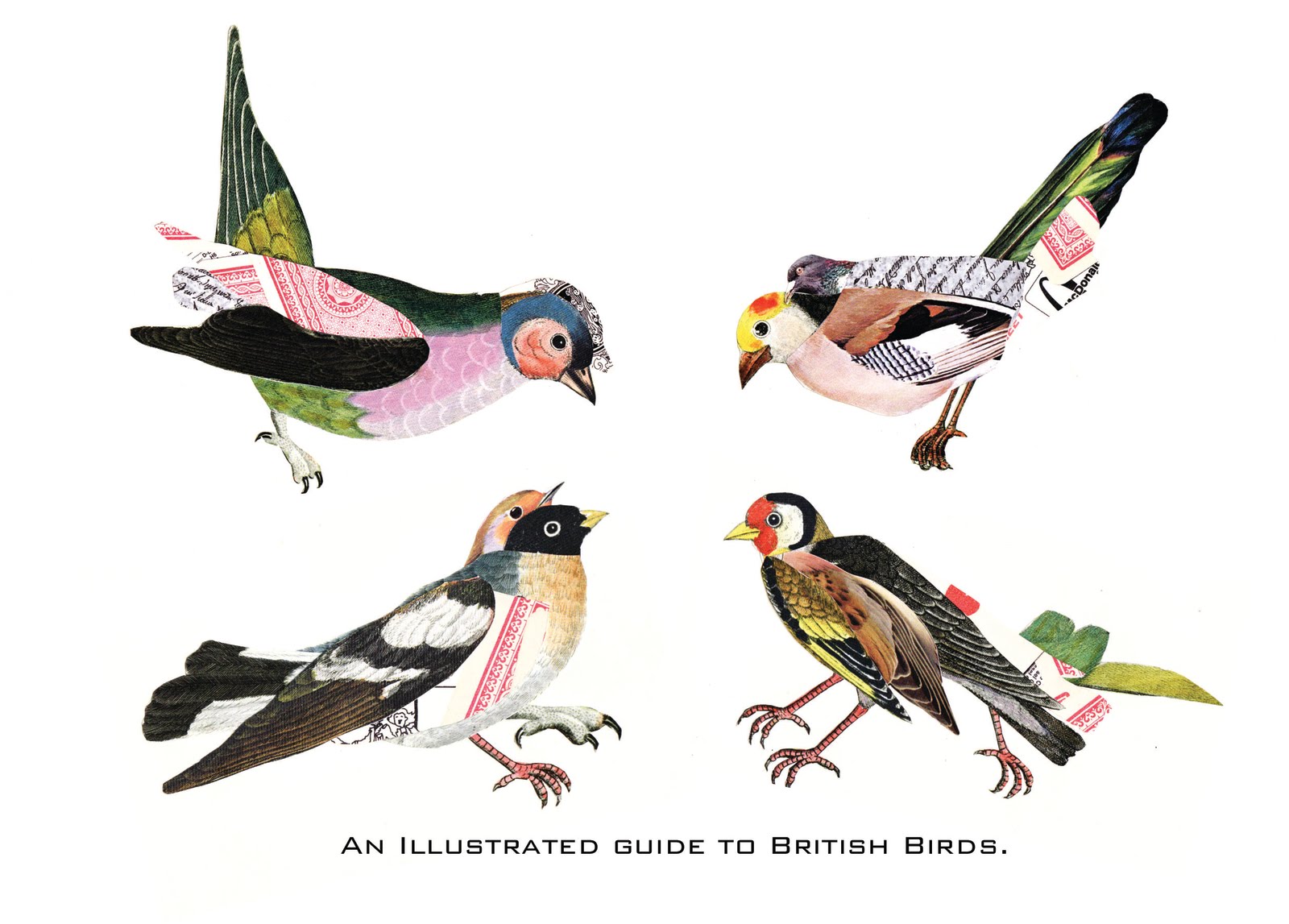 Fairchilds little things...: An Illustrated guide to British Birds.