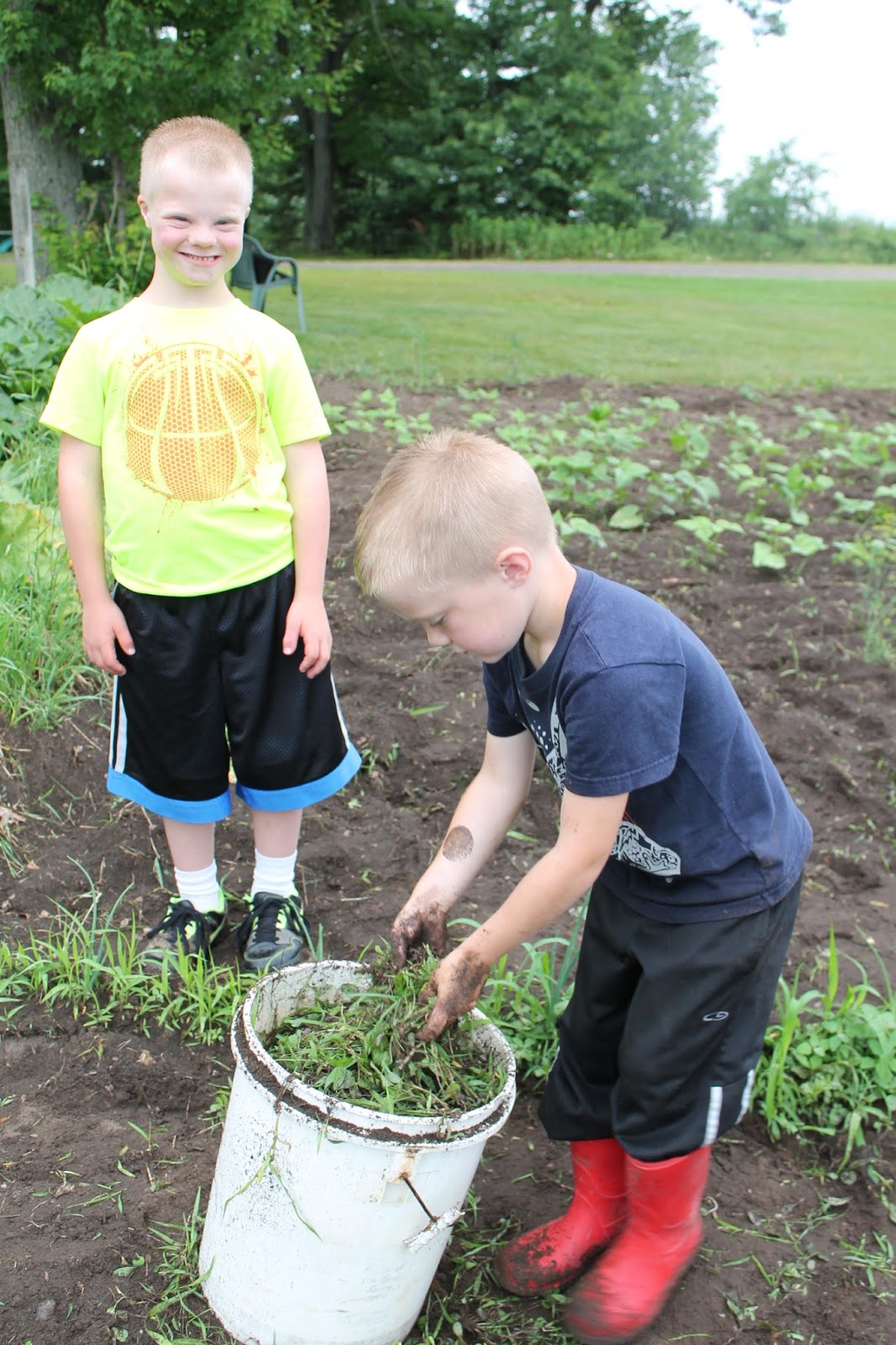 CAMP HOMESCHOOL: 10 Tips for Weeding WITH Kids WITHOUT Losing Your Mind