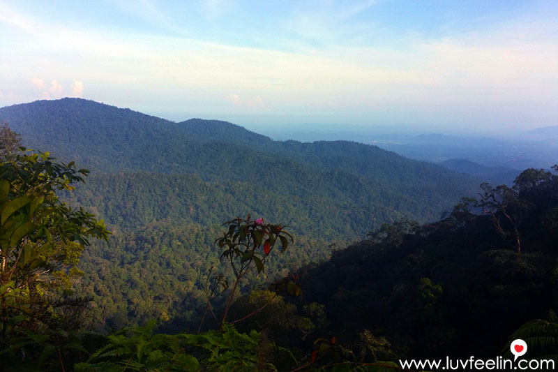 Gunung Bunga Buah 花果山遥望云顶高原 - 乐飞翎 ♥ LUVFEELIN