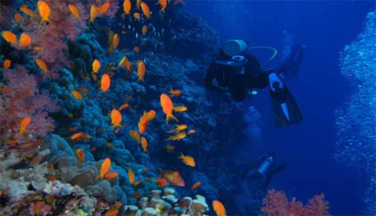 Top 10 Scuba Diving Destinations in the World | TourTipsTravelGuide