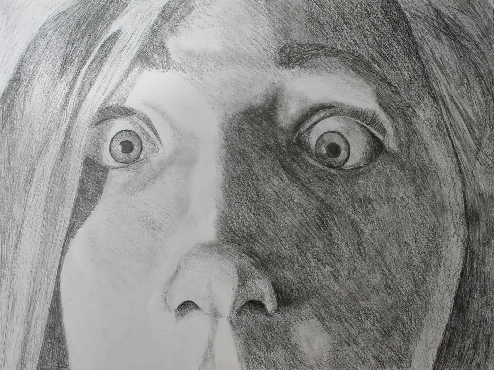 Creating with Kaiser: Practice drawing facial features...