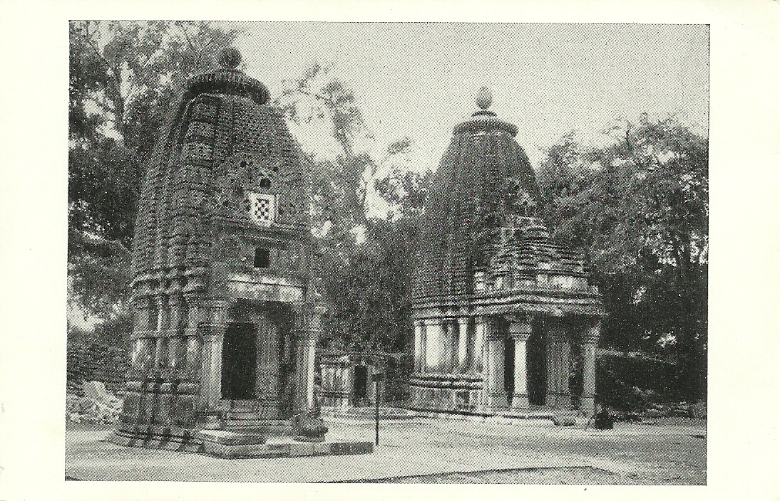 Heritage of India: Trimurti and Ashtama Temples of Badoli (Rajasthan ...