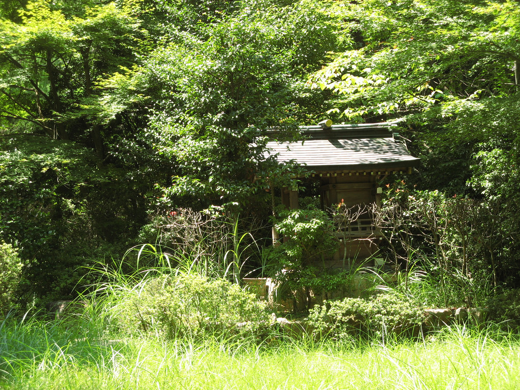 Deserted Places: Koga Family Land: An abandoned amusement park in Japan