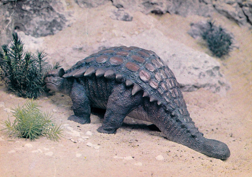 Love in the Time of Chasmosaurs: Postcards from my childhood