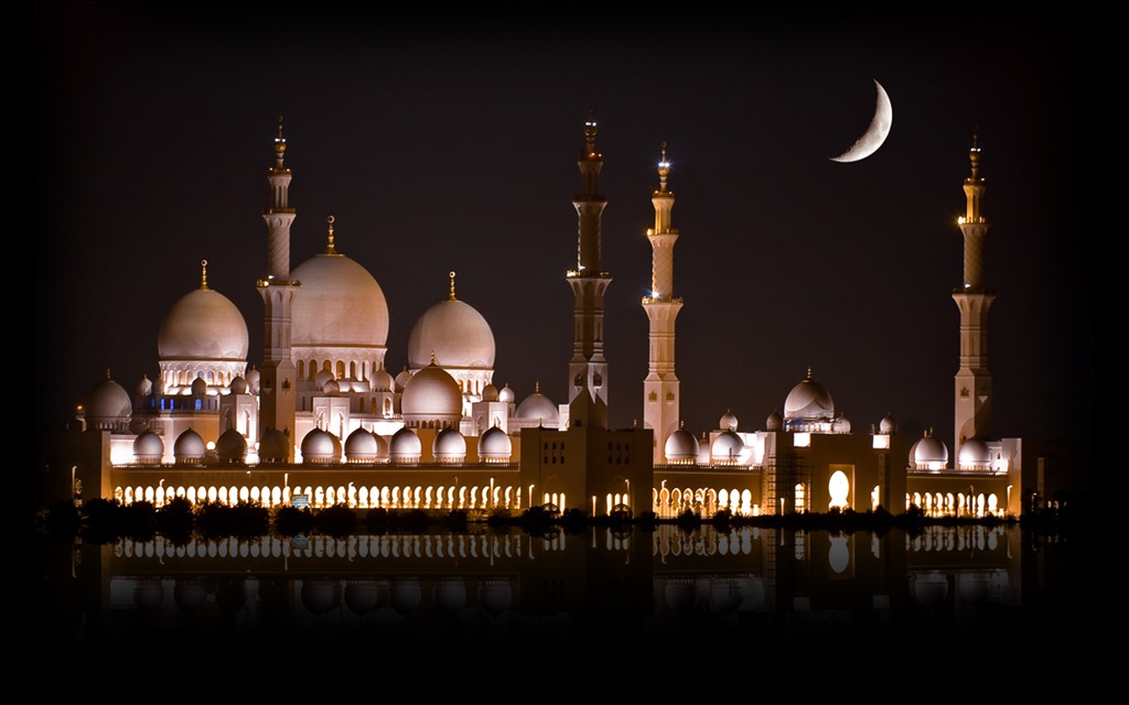 Sheikh Zayed Mosque Images - UAE's Largest Mosque