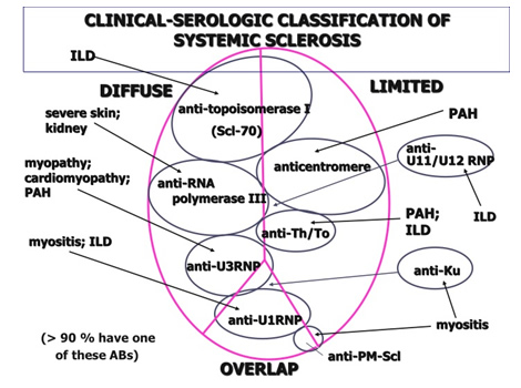 Scleroderma def., pathology, manifestations, diagnosis, treatment ...