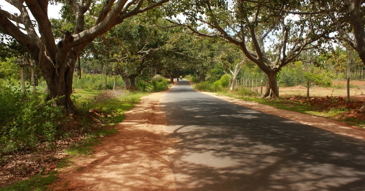 Journeys across Karnataka: Chikkanna & Thimmakka's Saalu-Maragalu
