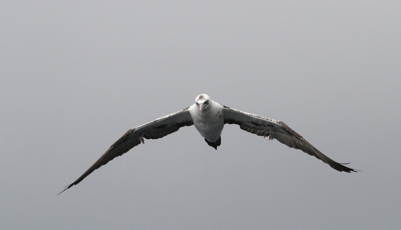 anderyomismo: octubre 2015