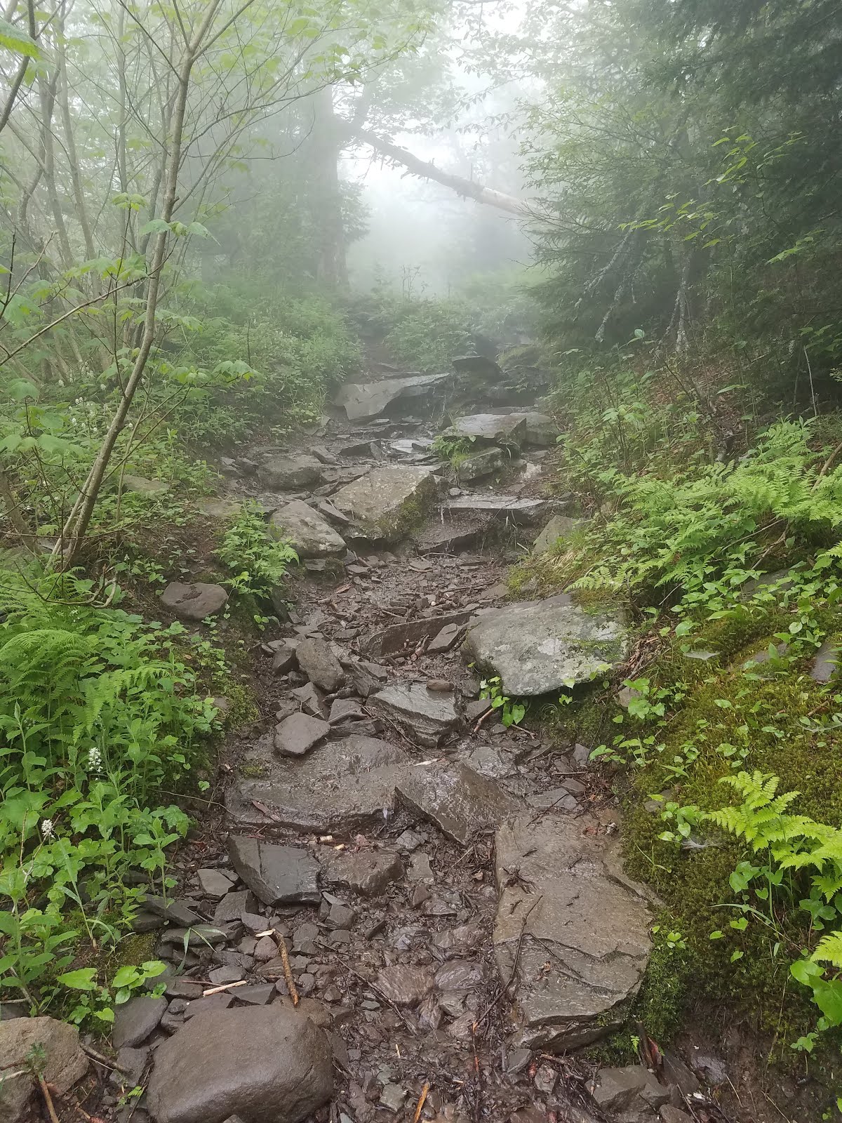 Ry Runs: Best Climbs and Rock Scrambles near NJ