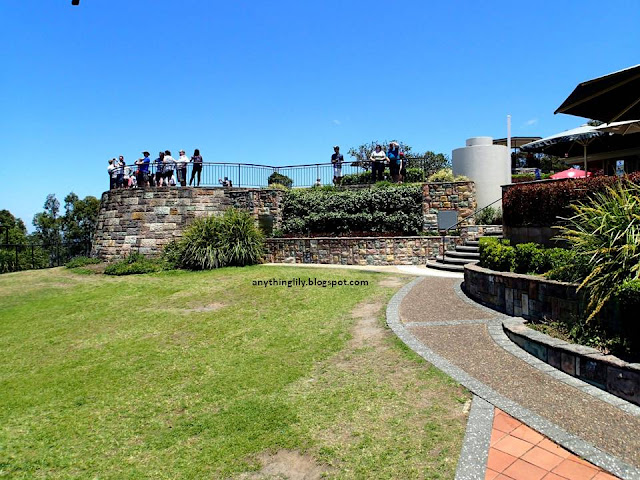 anythinglily: Brisbane City Tour Pt 3: Mount Coot-tha