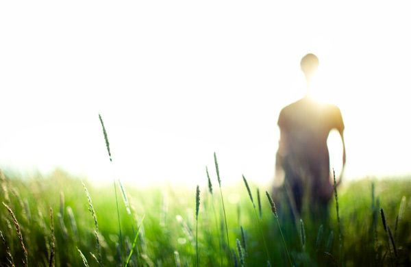 Step into the Light: Doctrines- Principles- Tools, continued...