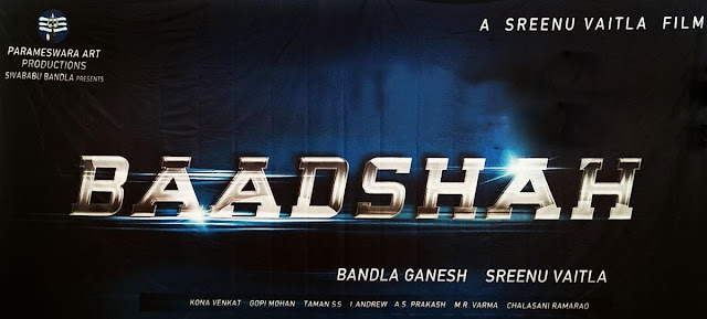 Young Tiger Ntr Baadshah Logo First Look - Hot and Spicy