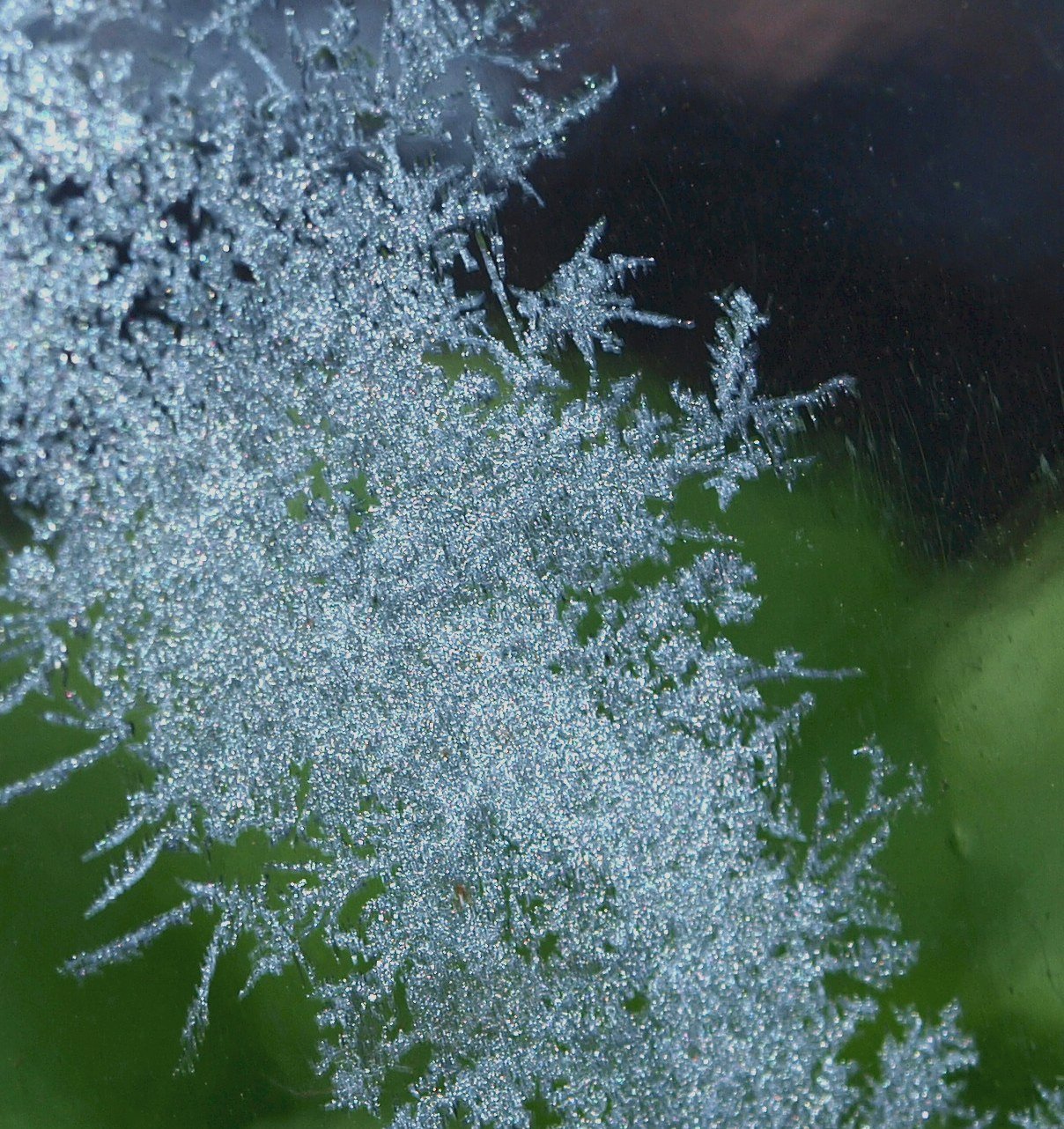 Mark's Veg Plot: Frost patterns - Nature's own artform