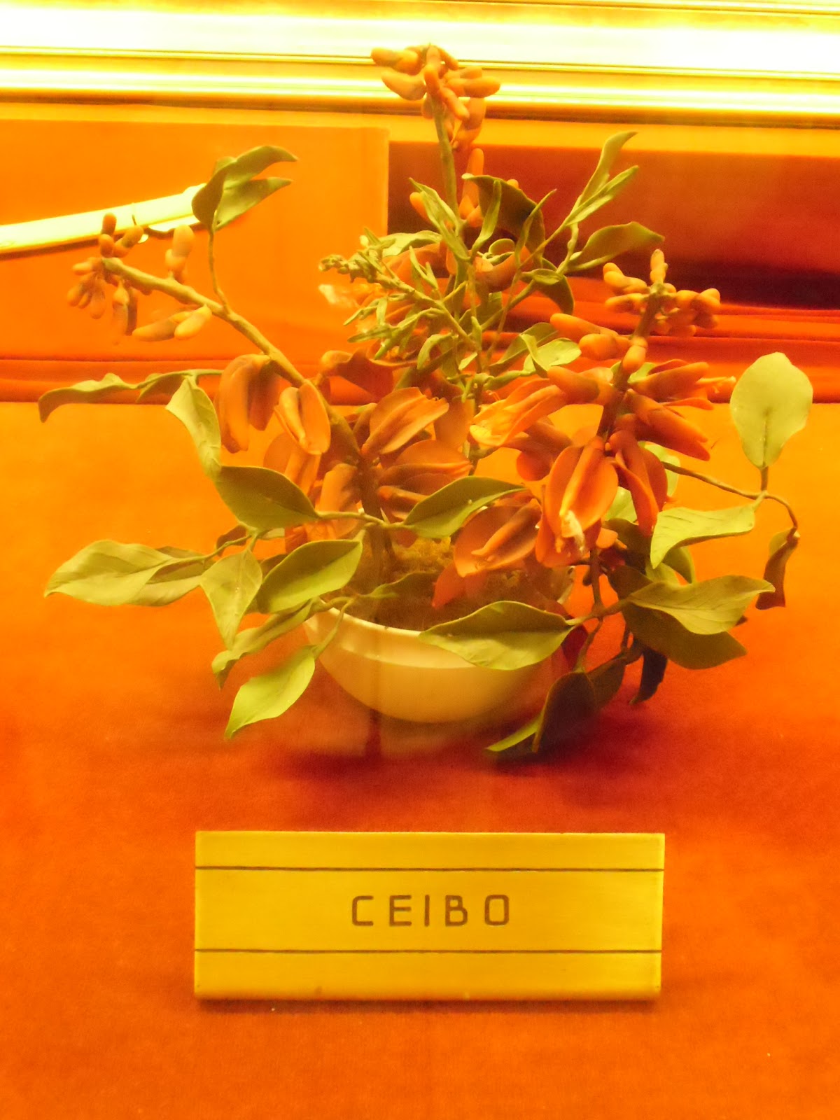 Heráldica en la Argentina: Galería de Honor de las Banderas de América