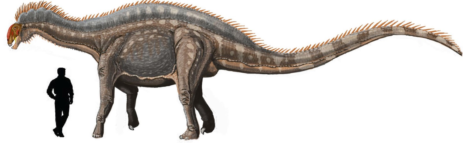 Los animales en la prehistoria: Animales prehistóricos con la letra D