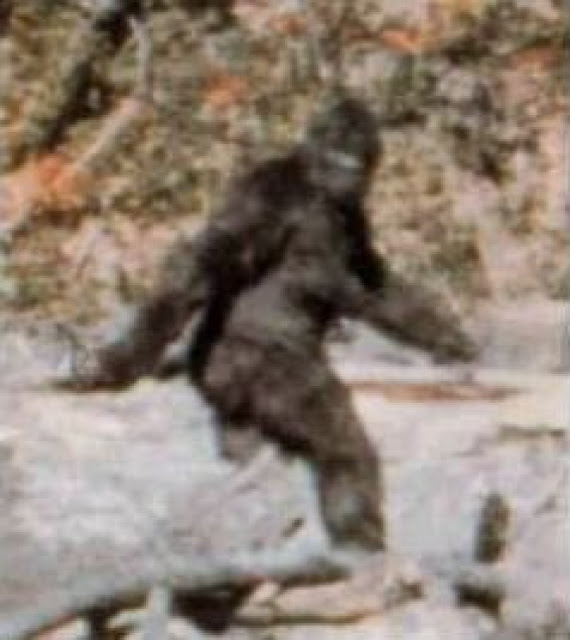 The Evidence for Bigfoot: The Story Behind the Infamous 1967 Patterson ...