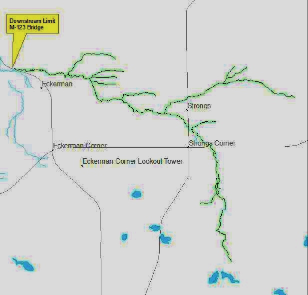 Birch Lodge Blog: Trout Fishing in the Eastern Upper Peninsula