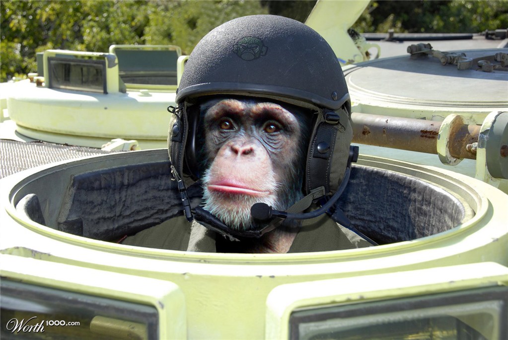 On The Other Side Of The Eye: [Roadtrip] Tank Museum and Monkey World!